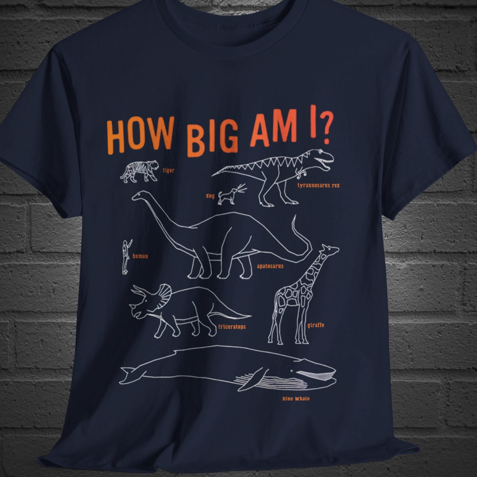 How Big Am I,T-Rex Dinosaurs Educational,Visit Trip Museum,Dino Lover ...