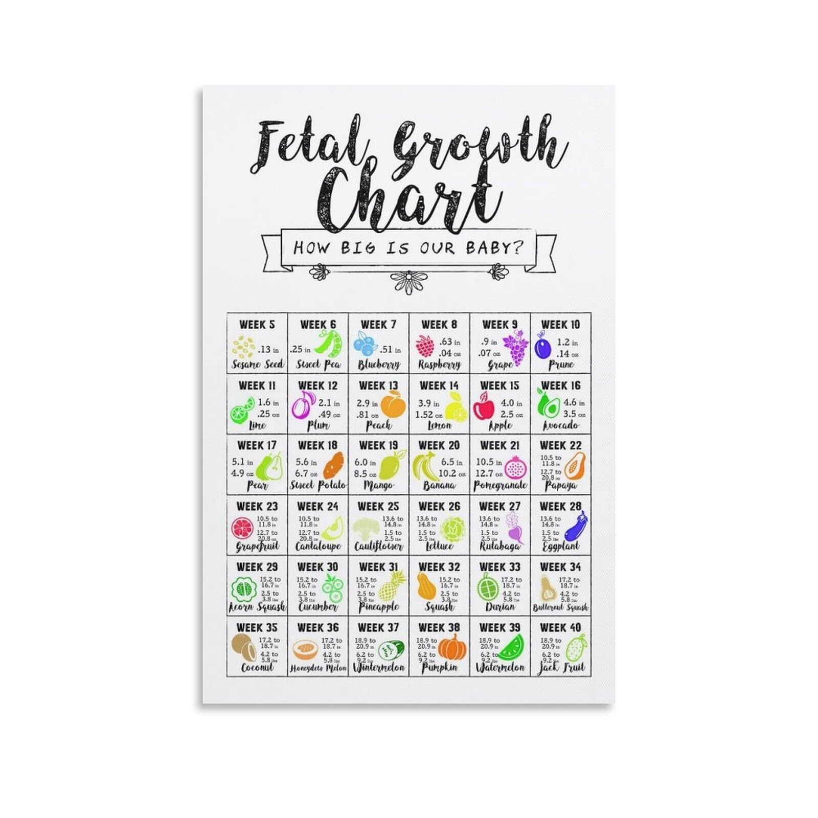 How Big Is Our Baby Fetal Growth Chart Poster Baby Growth Poster ...