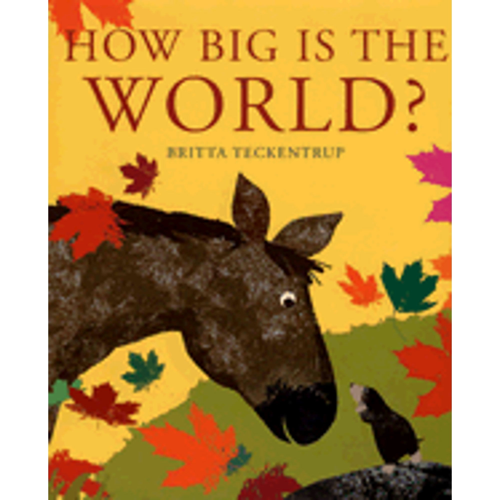 How Big Is the World? - Walmart.com