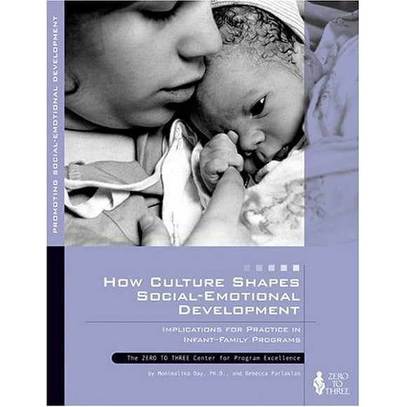 Emotional Social Development Infancy