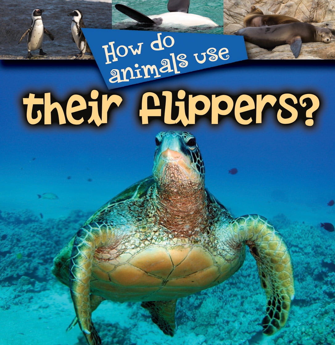 How Do Animals Use…: How Do Animals Use… Their Flippers? (Paperback ...