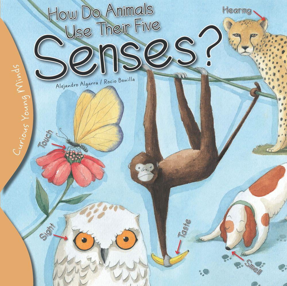 How Do Animals Use Their Five Senses? - Walmart.com