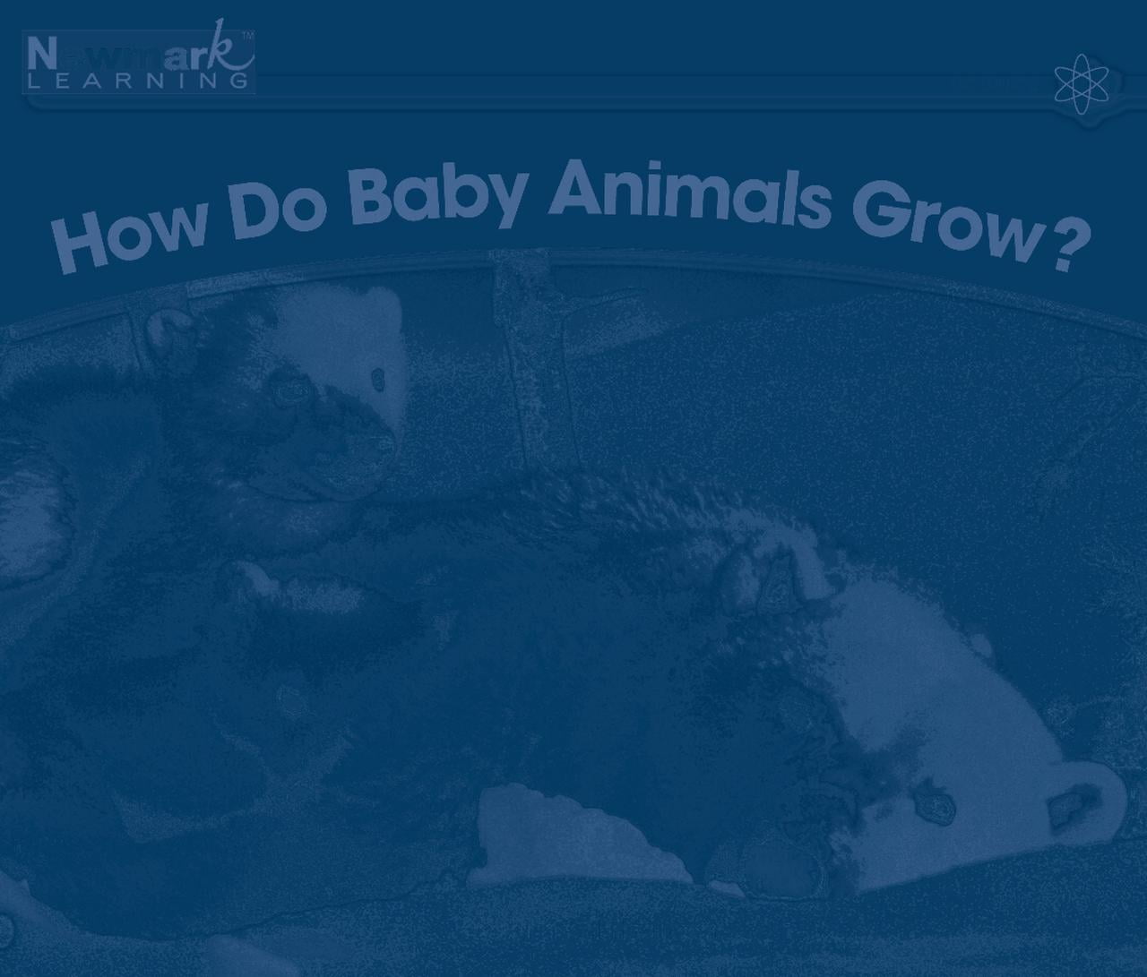 How Do Baby Animals Grow? [NL0034] - Walmart.com