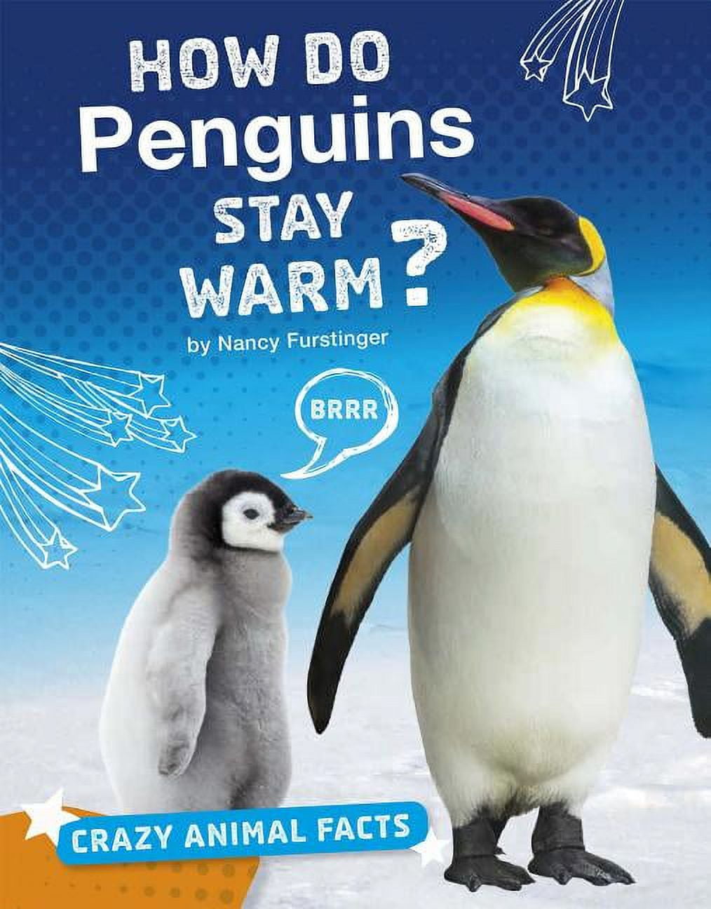 How Do Penguins Stay Warm? - Walmart.com