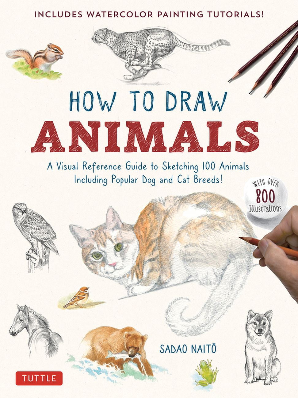 How to Draw Animals: A Visual Reference Guide to Sketching 100 Animals ...