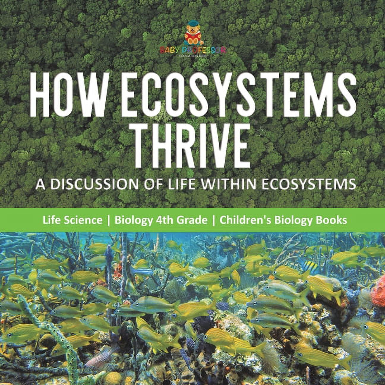 How Ecosystems Thrive: A Discussion of Life Within Ecosystems Life ...
