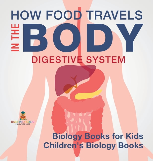 How Food Travels In The Body - Digestive System - Biology Books for ...