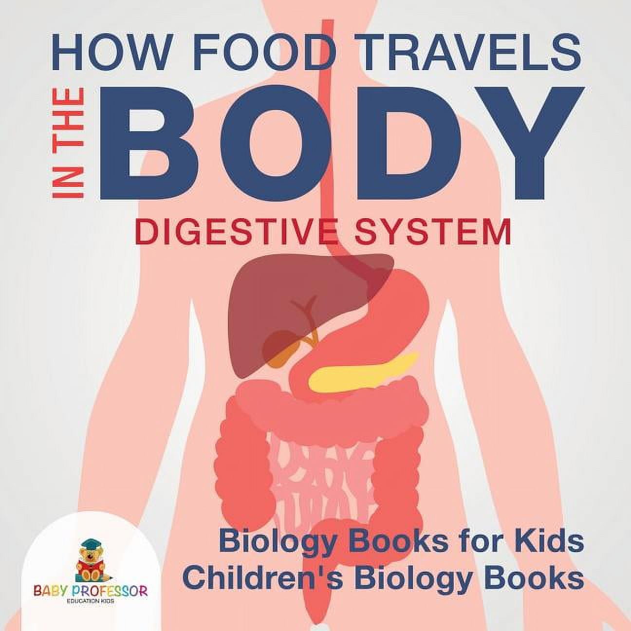 How Food Travels In The Body - Digestive System - Biology Books for ...
