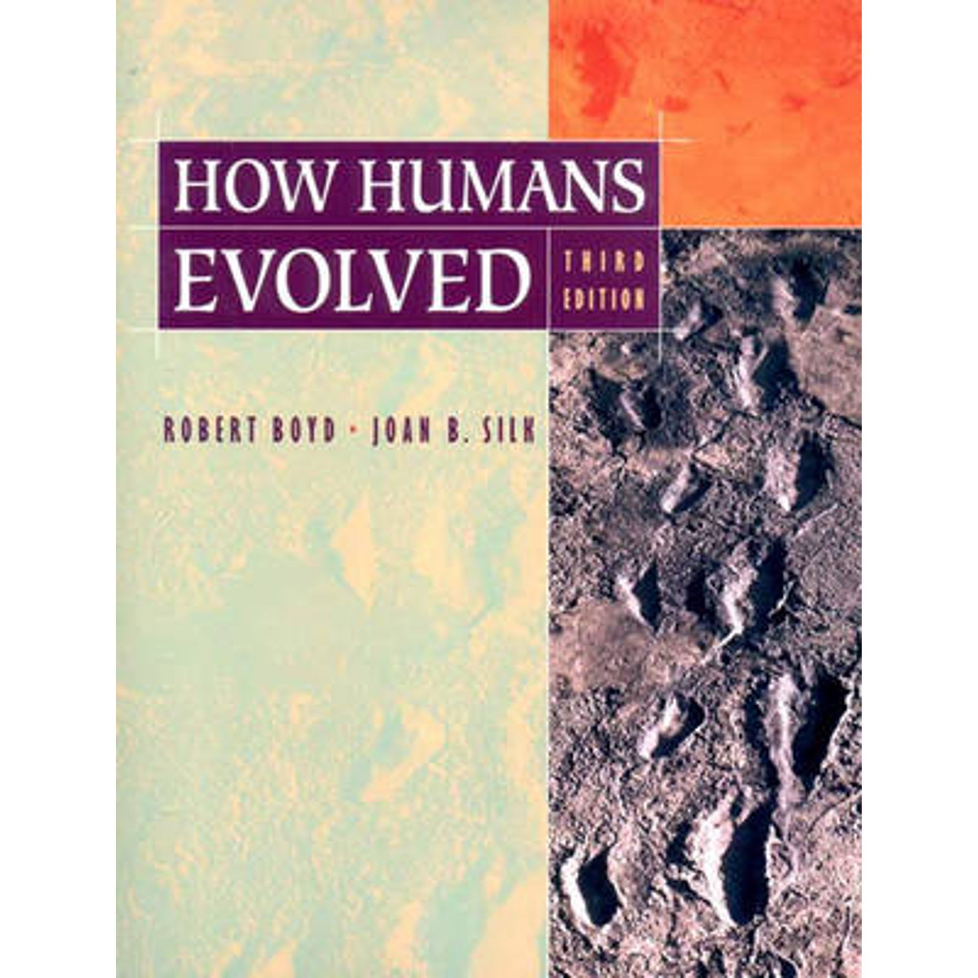 Pre-Owned How Humans Evolved (Paperback) 0393978540 9780393978544 ...