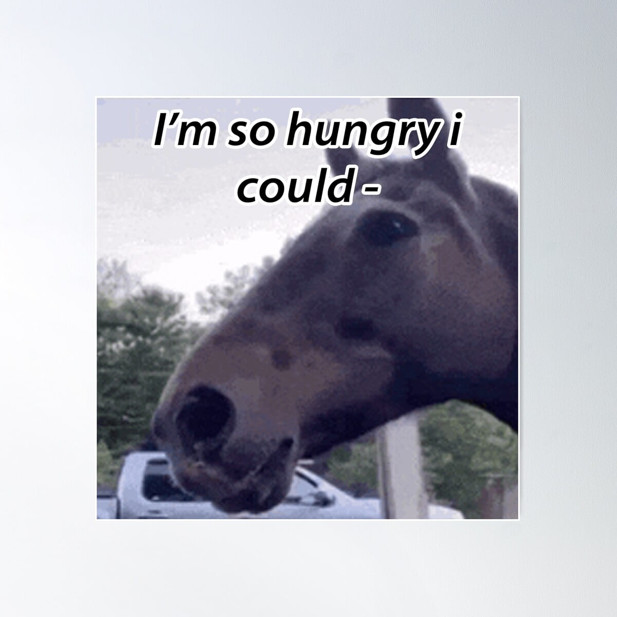 How Hungry Horse Meme Poster Wall Art, Modern Wall Decor For Living ...