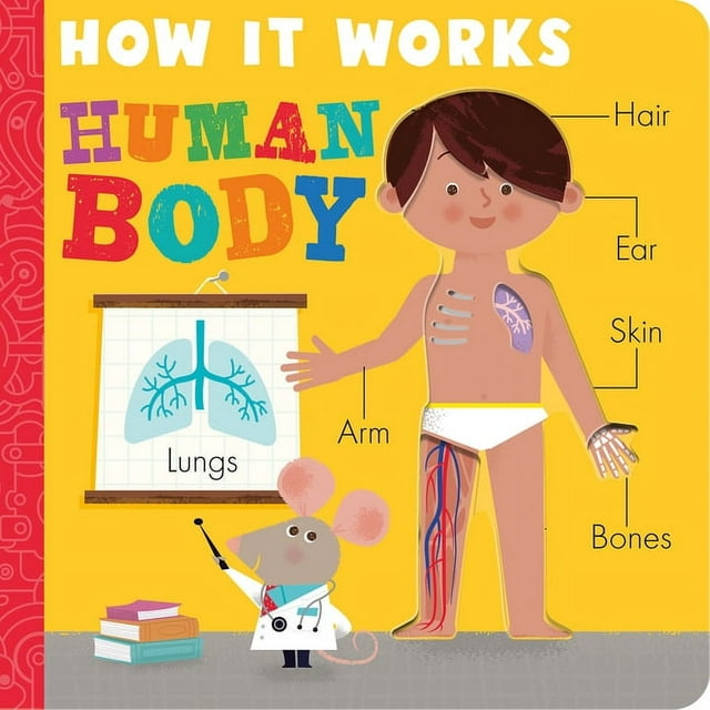 How It Works How It Works: Human Body, (Board Book) - Walmart.com