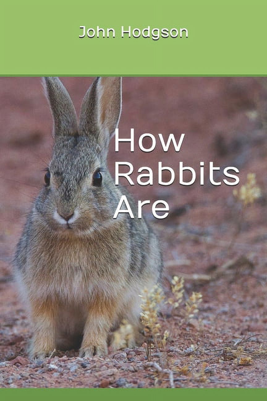 How Rabbits Are (Paperback) - Walmart.com