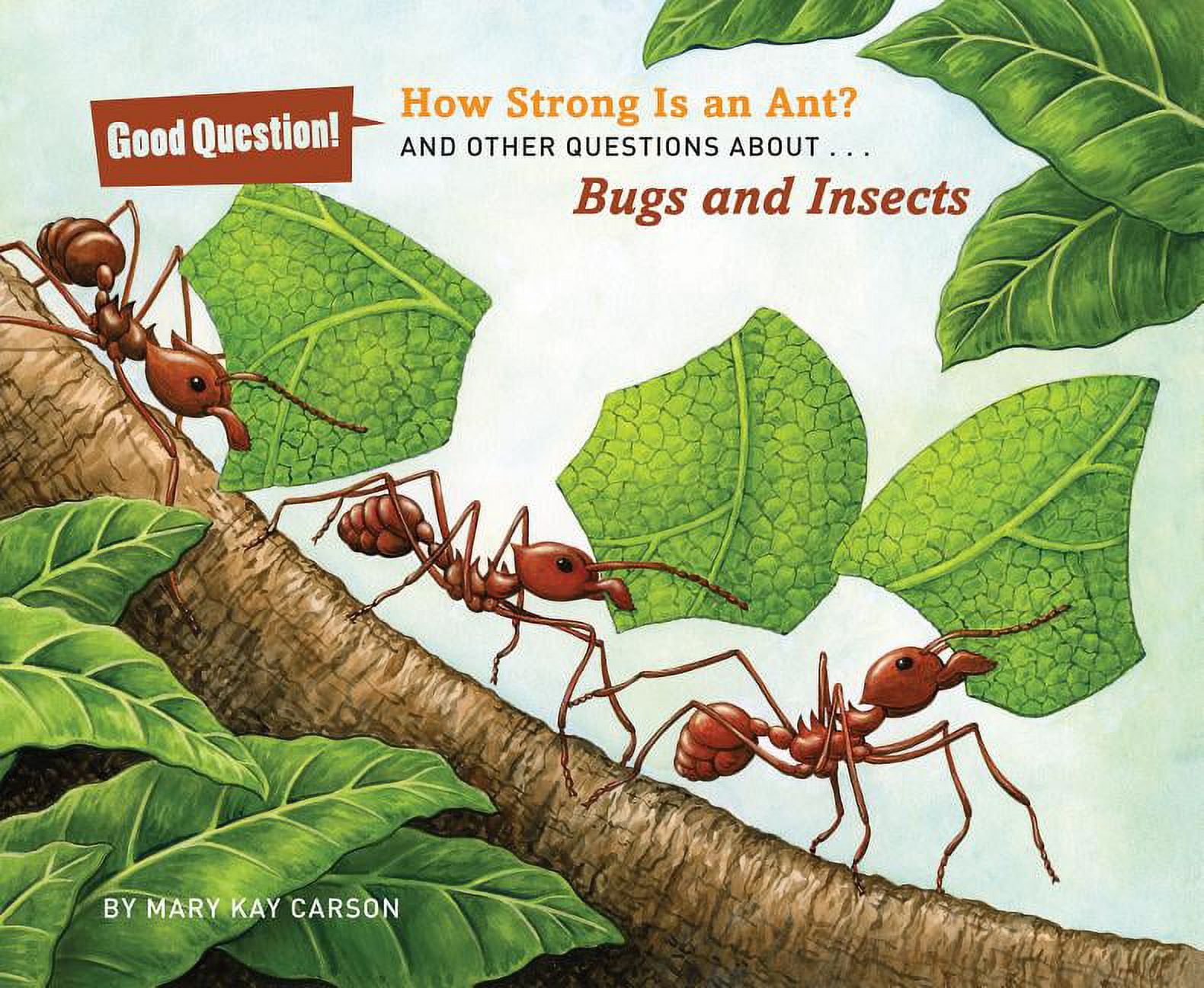 How Strong Is an Ant?: And Other Questions About... Bugs and Insects ...