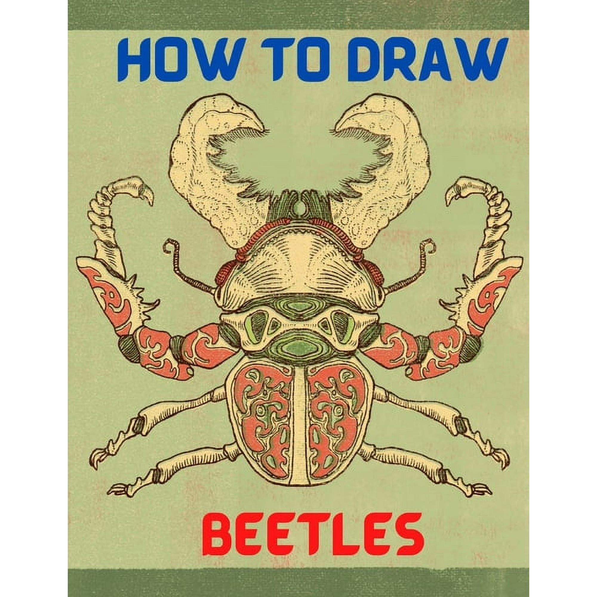 Beetle Drawing For Kids