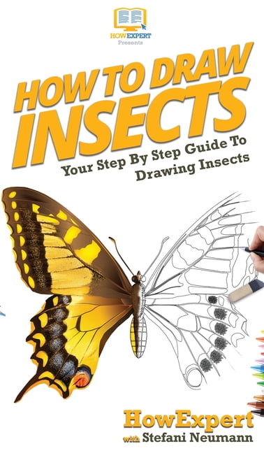 How To Draw Insects: Your Step By Step Guide To Drawing Insects ...