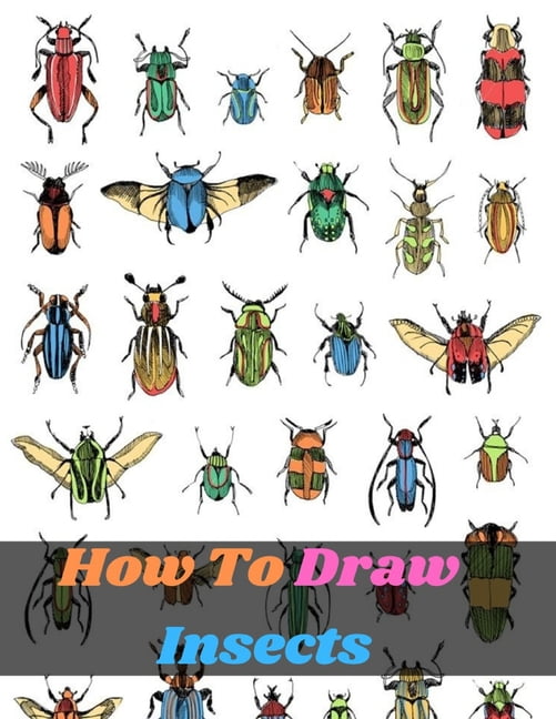 How To Draw Insects