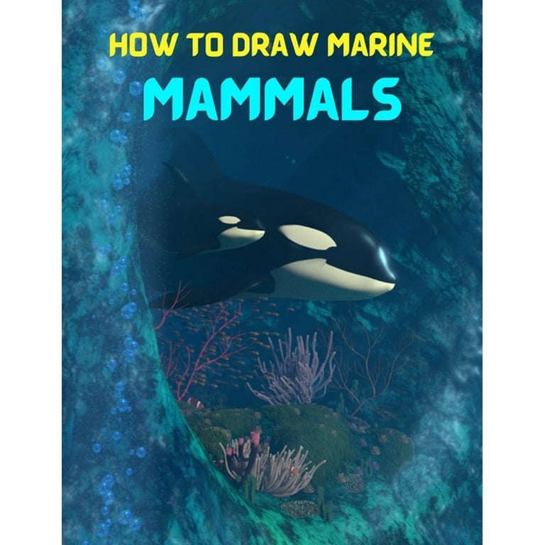 Ocean Animals Underwater Drawing