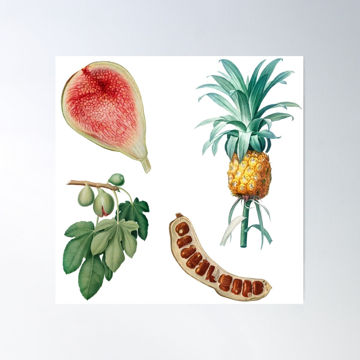 How To Enjoy Fig, Pineapple, Guava, And Carob In Your Diet Poster Wall ...