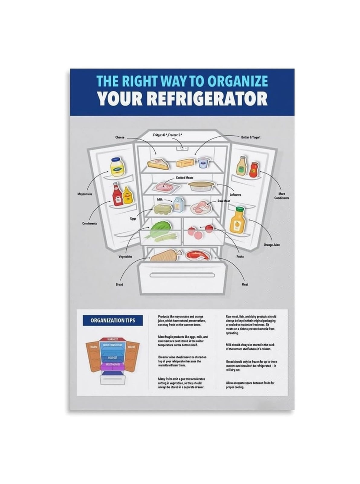 How To Organize Your Refrigerator Poster Step By Step Food Storage ...