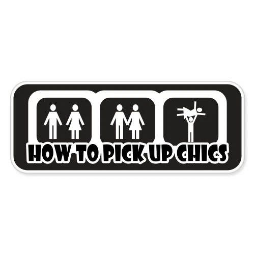 How To Pickup Chicks Sticker Decal Phone Decal Water Bottle Stickers ...
