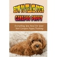 How To Teach Your Cavapoo Puppy: Everything You Need For Your New ...