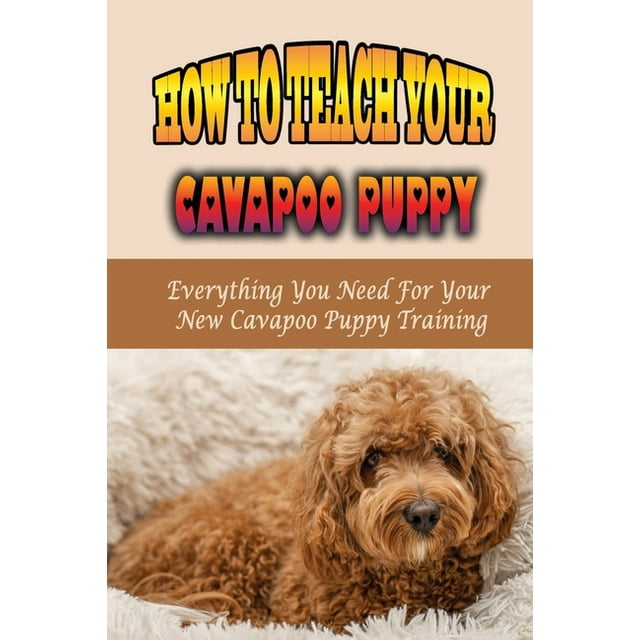 How To Teach Your Cavapoo Puppy: Everything You Need For Your New ...