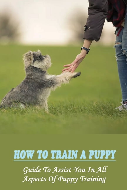 How To Train A Puppy: Guide To Assist You In All Aspects Of Puppy ...
