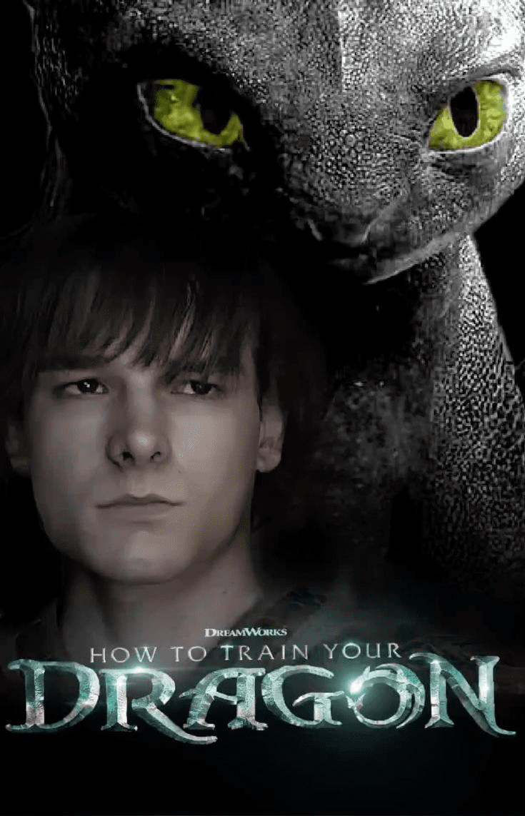 How To Train Your Dragon 2025 Poster & Canvas, Wall Art Decor18 ...