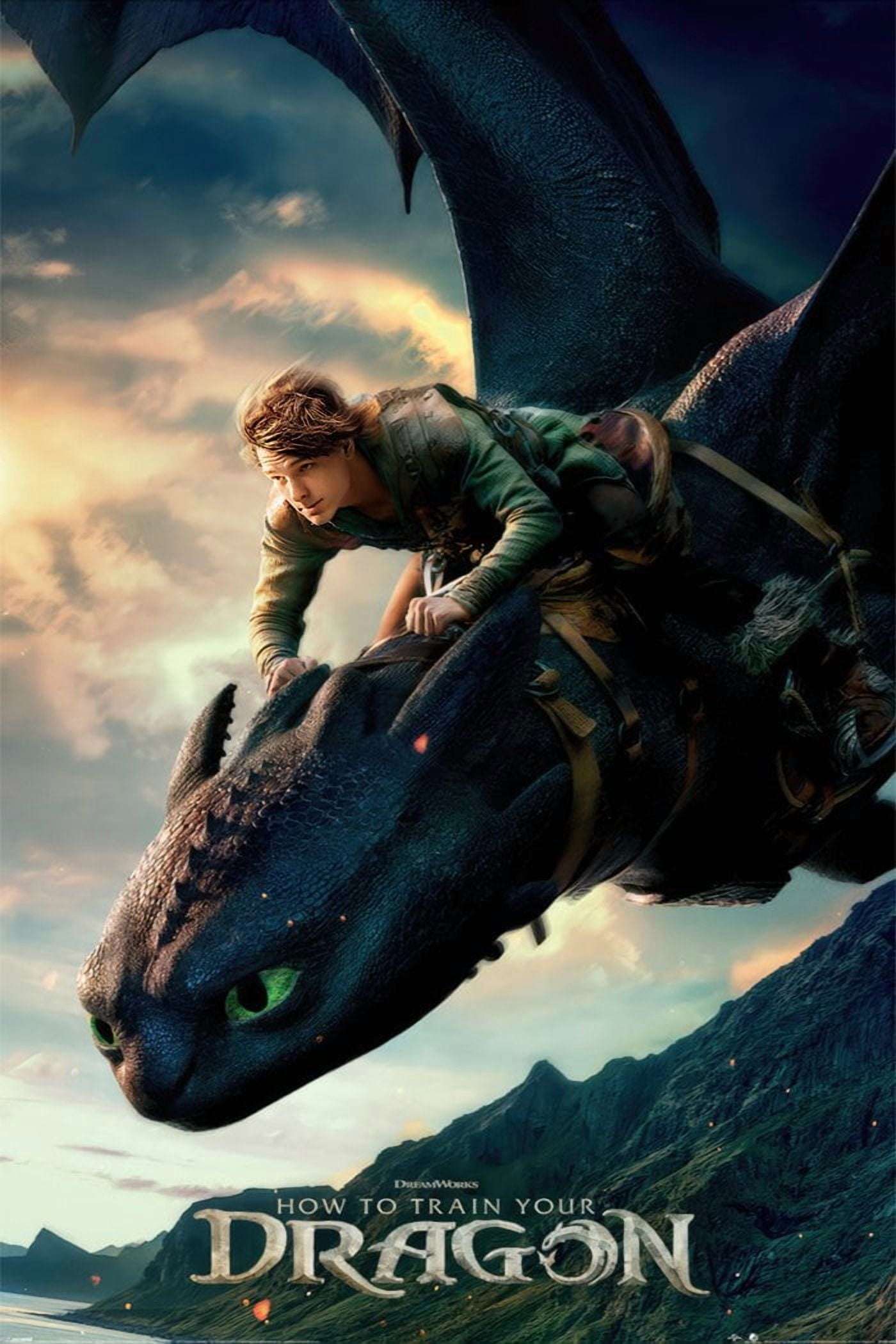 How To Train Your Dragon - Movie Poster (Toothless & Hiccup) (Size: 24 ...
