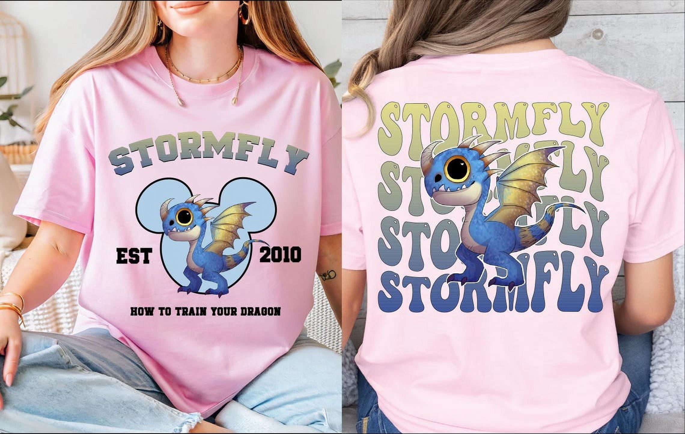 How To Train Your Dragon Shirt, Toothless Light Fury Stormfly Sweater ...