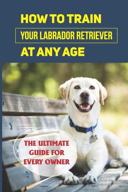 How To Train Your Labrador Retriever At Any Age: The Ultimate Guide For ...