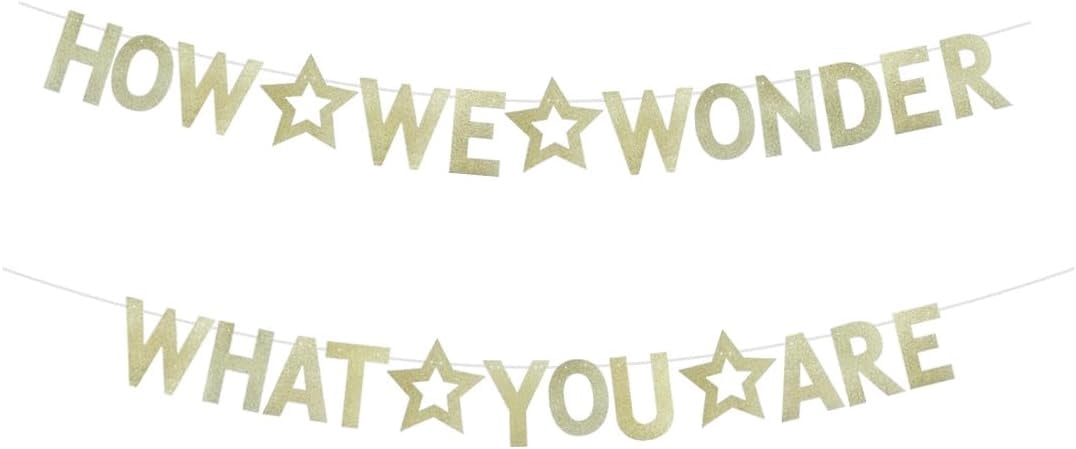 How We Wonder What You Are Gold Glitter Star Banner Gender Reveal Baby ...