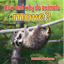 Paperscapes: Paperscapes: The Amazing World of Animals: Turn This Book ...