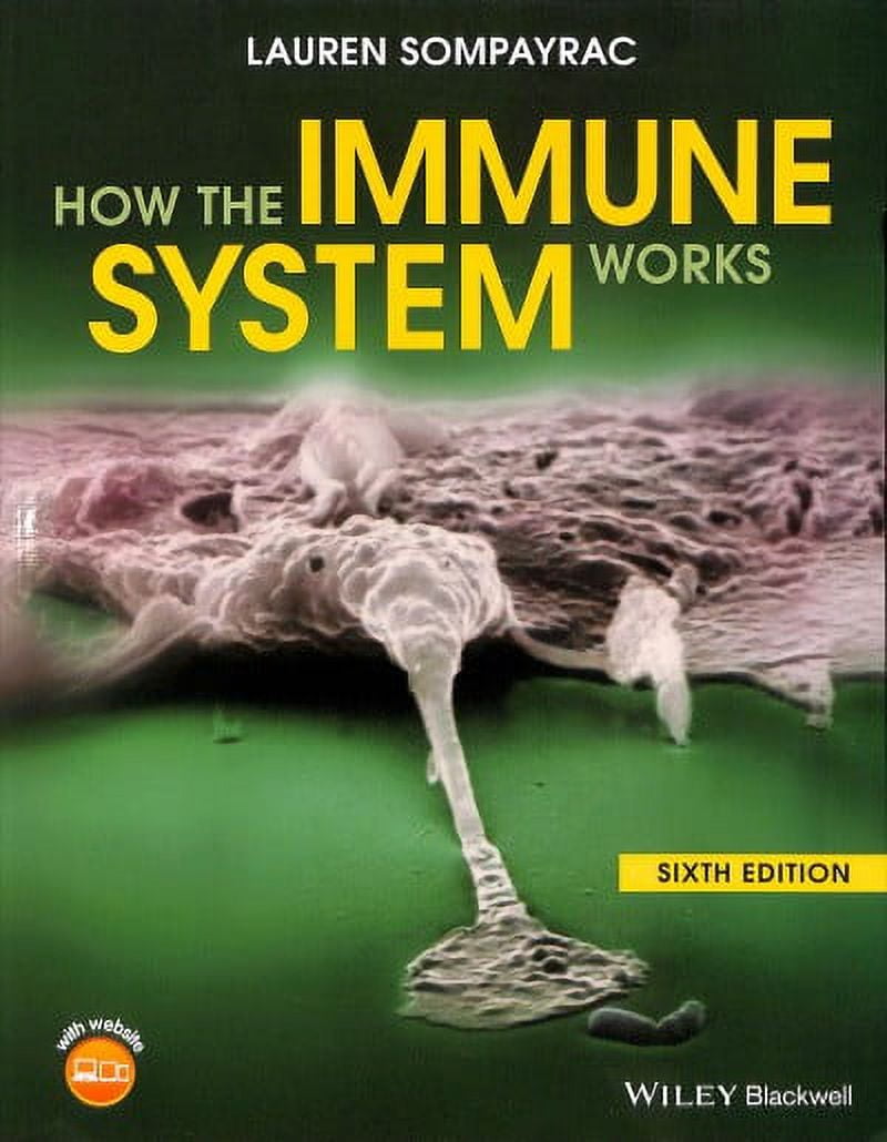 How the Immune System Works - Walmart.com