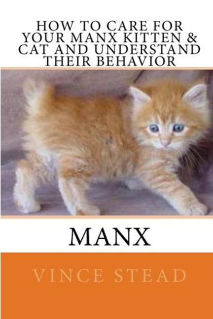 How to Care For Your Manx Kitten and Cat And Understand Their Behavior ...