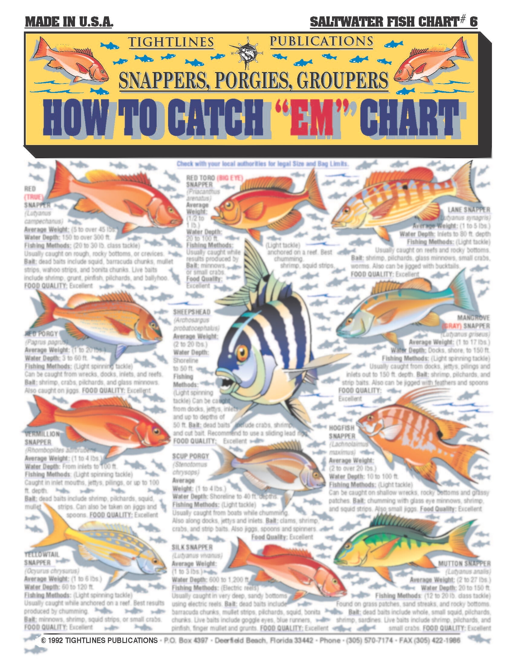 How to Catch'em Saltwater Fish Identification #6 (Snappers, Porgies ...