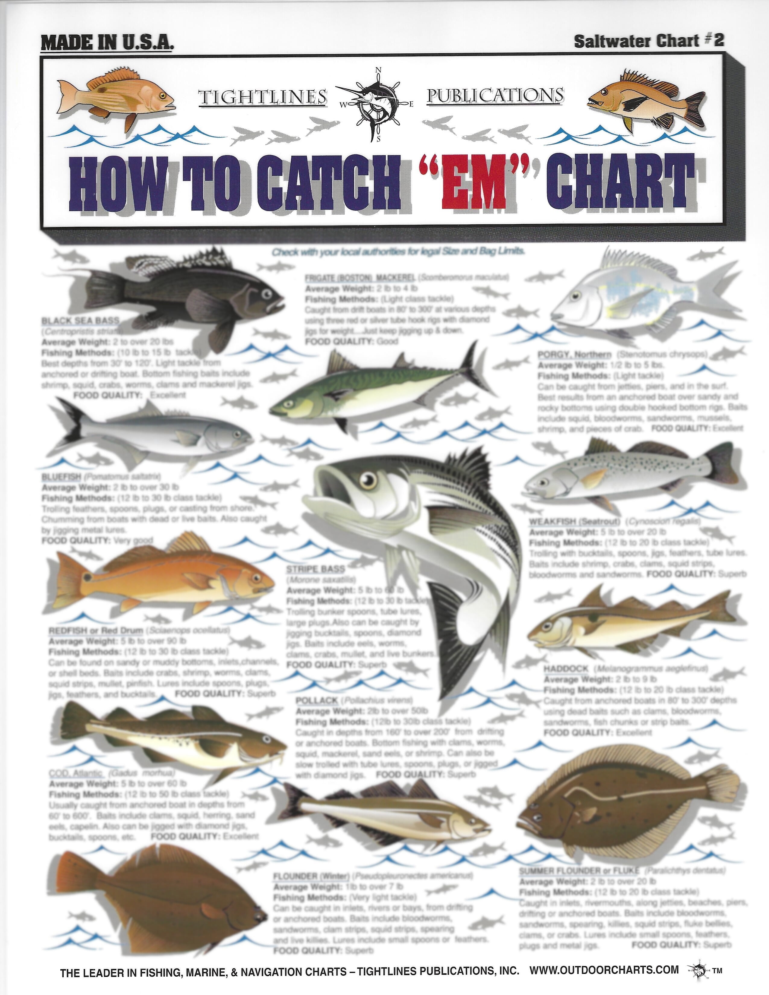 How to Catch 'Em Saltwater Fish Identification #2 - Waterproof Quick ...