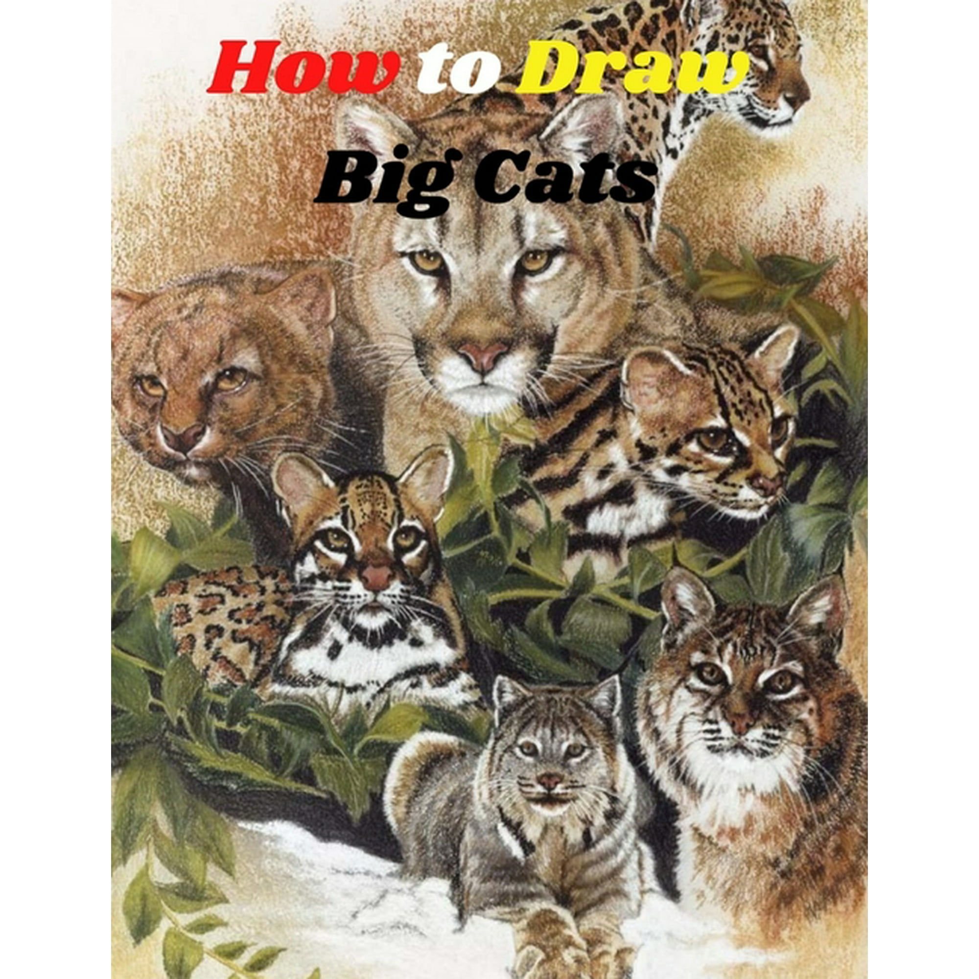 How To Draw A Wild Cat