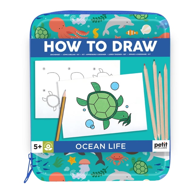 How to Draw Ocean Life, (Paperback) - Walmart.com