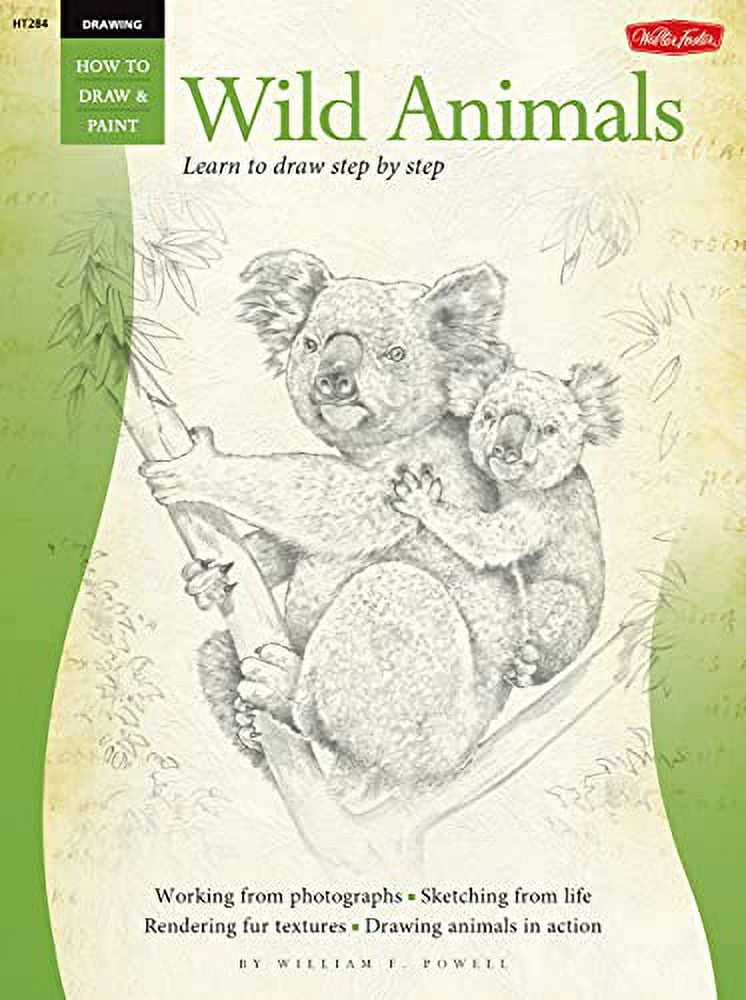 Pre-Owned Drawing: Wild Animals: Learn to Draw Step by Step (Paperback ...