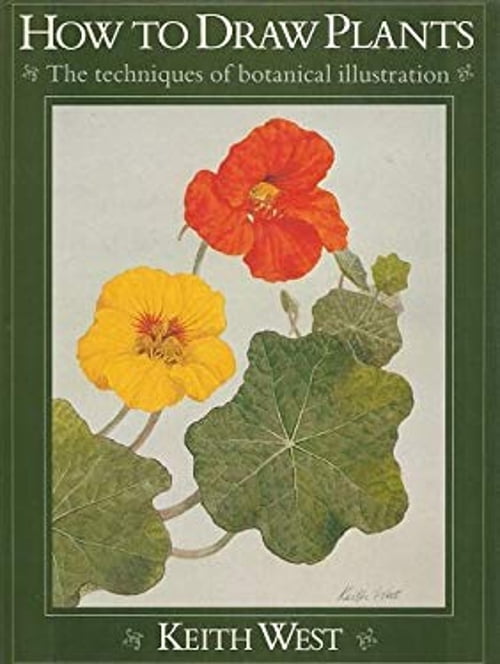 Pre-Owned How to Draw Plants : Techniques of Botanical Illustration ...