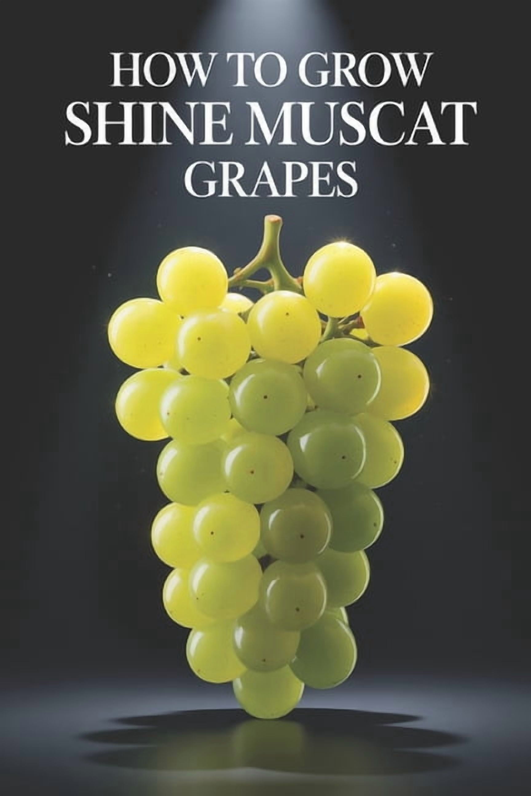 How to Grow Shine Muscat Grapes: A Complete Practical Guide to Growing ...