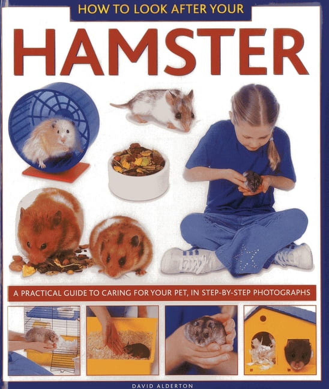 How to Look After Your Hamster: A Practical Guide to Caring for Your ...