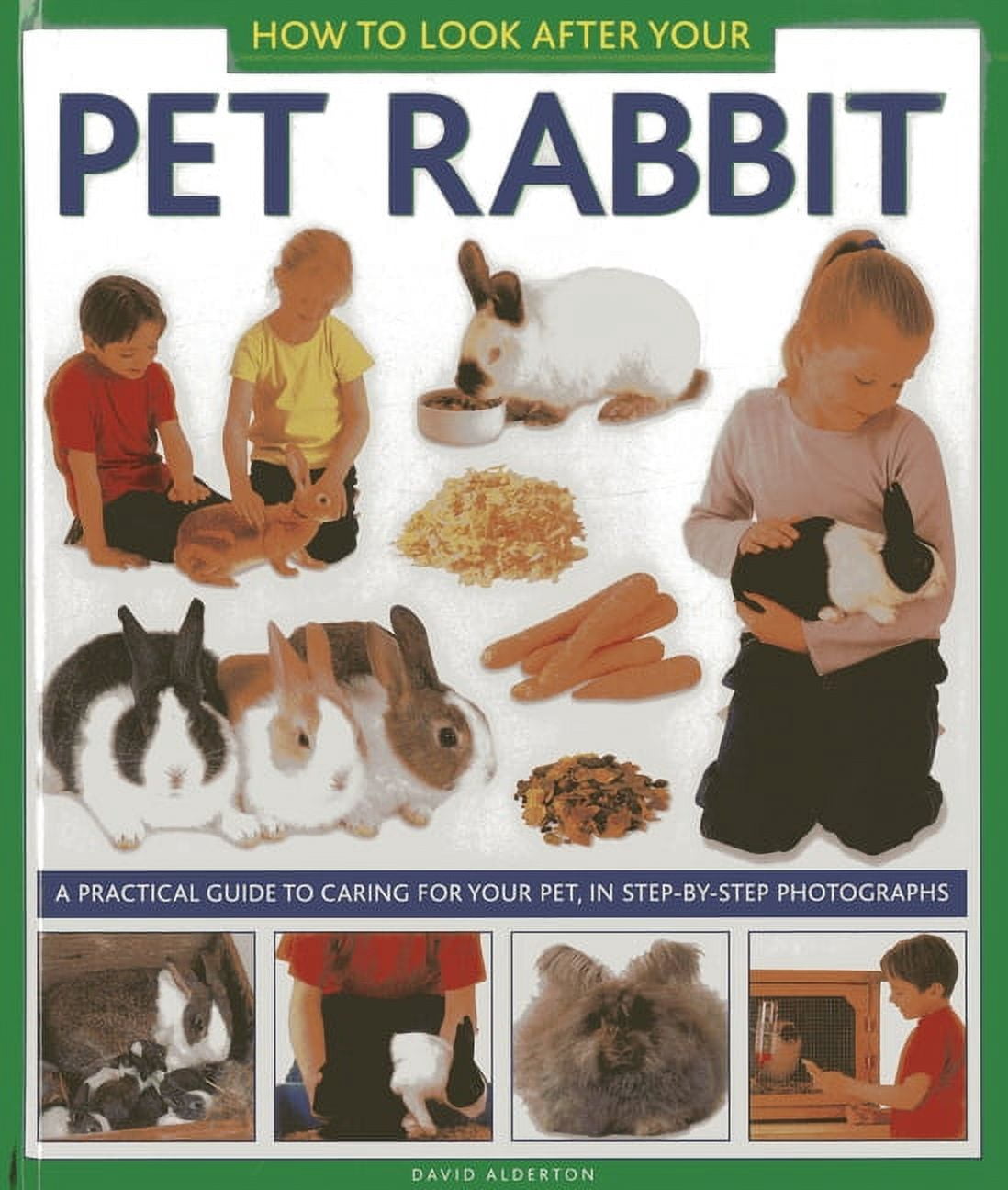 How to Look After Your Pet Rabbit: A Practical Guide to Caring for Your ...