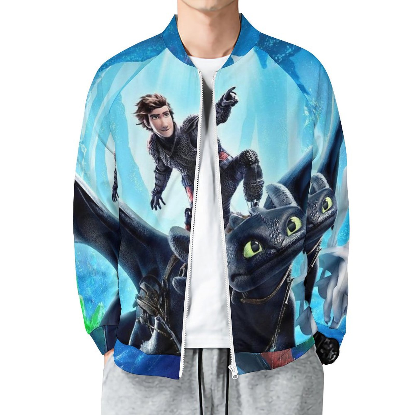 How to Train Your Dragon Hidden World Fashion Jacket Mens Windbreaker ...