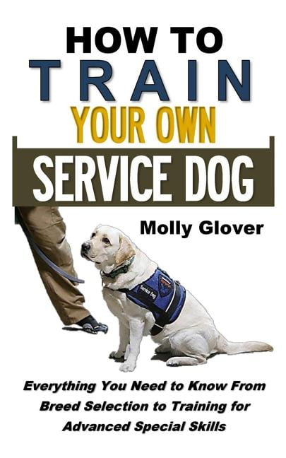 How to Train Your Own Service Dog: Everything You Need to Know about ...