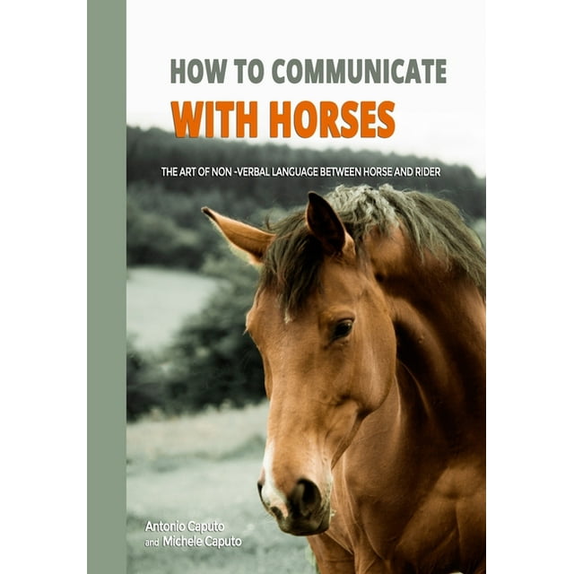 How to communicate with horses: The art of non-verbal language between ...