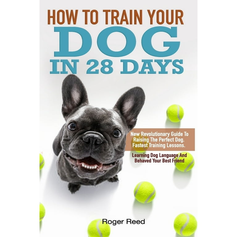 How To Best Train A Dog
