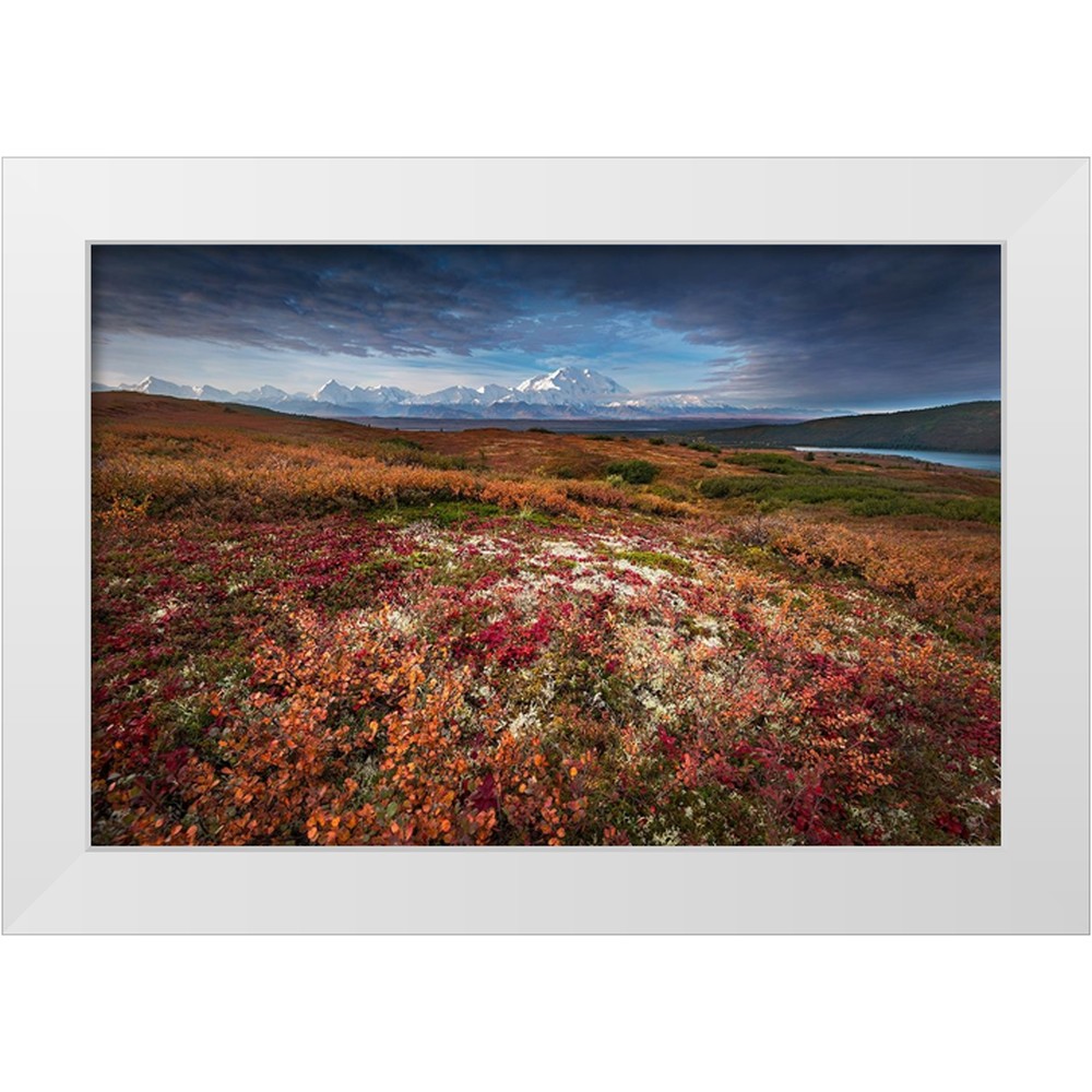 Howard Liu, Hao 18x13 White Modern Wood Framed Museum Art Print Titled ...