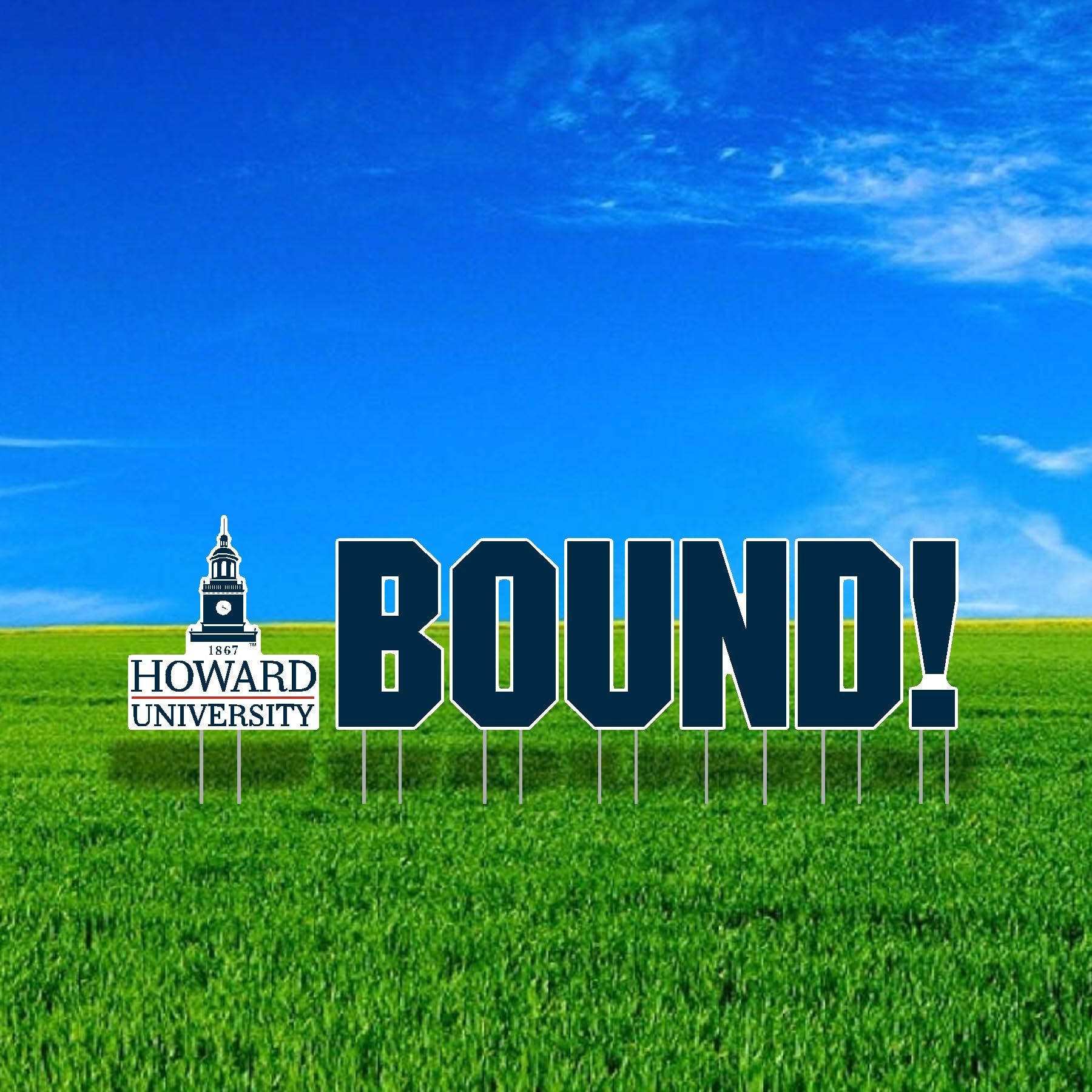 Howard University BOUND Mascot Yard Sign Set - Walmart.com